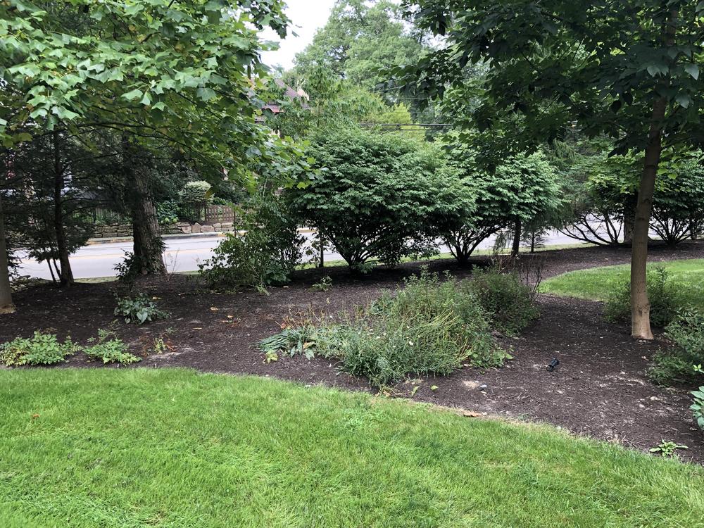 Shade/Partial sun garden plant recommendations in the Ask a Question ...