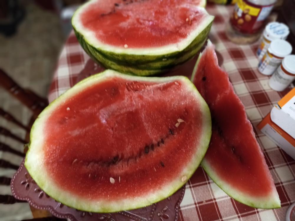 Watermelon (Citrullus lanatus 'Estrella') in the Watermelons Database ...