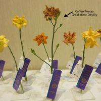 Photo of the bloom of Daylily (Hemerocallis 'Coffee Frenzy') posted by ...