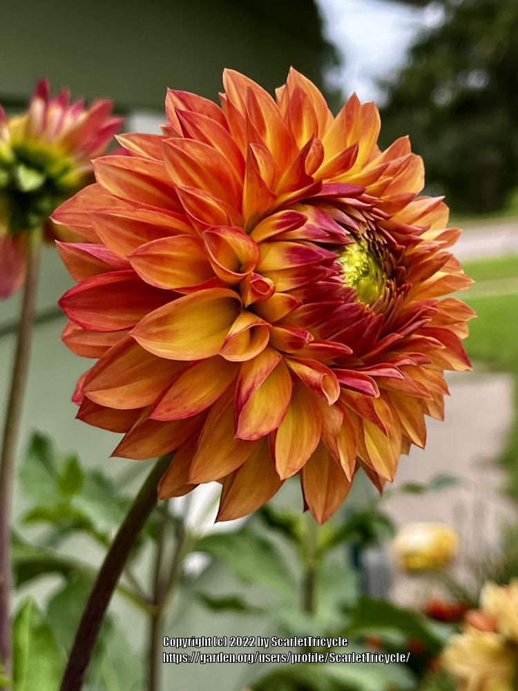 Newsletter for September 17th, 2022