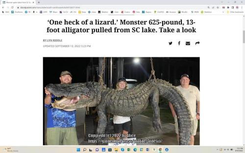 Scientists just captured a record 17-foot-long python in Florida in the ...