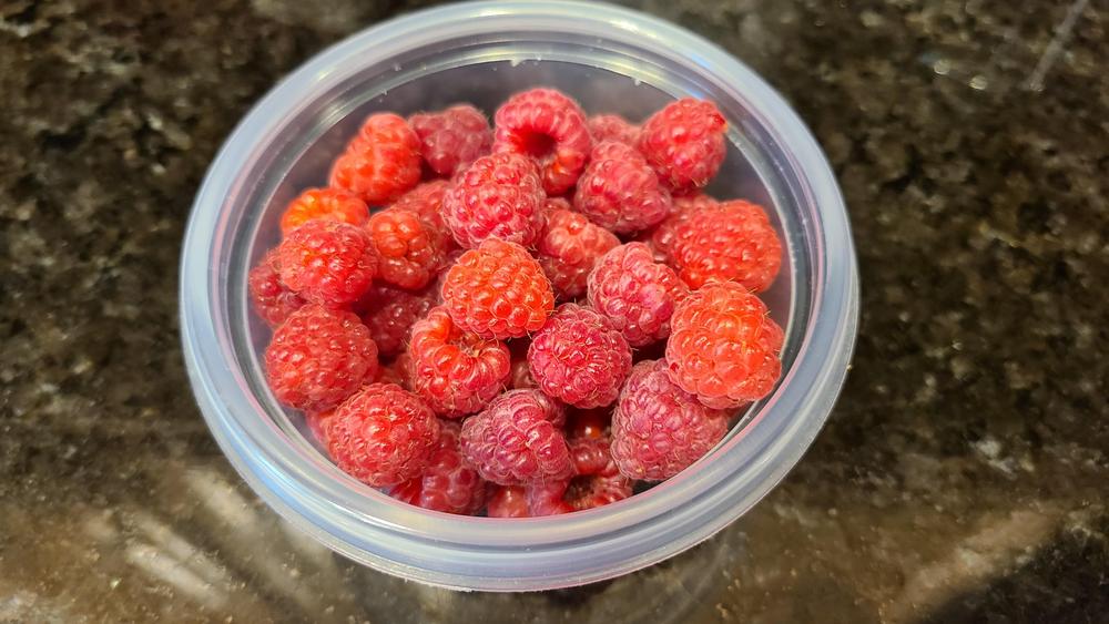 Photo of the fruit of Raspberry (Rubus idaeus Sweet Repeat™) posted by LoriMT - Garden.org