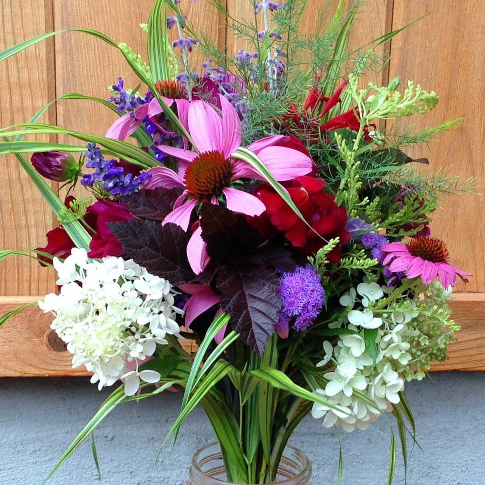 Grow Colorful Flowers - Garden.org