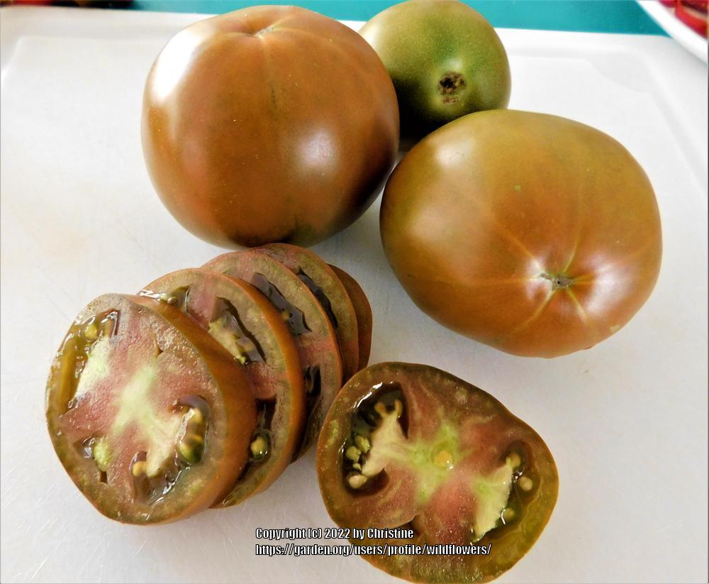 Photo of the fruit of Tomato (Solanum lycopersicum 'Slovenian Black ...