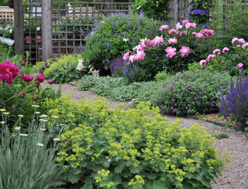 Orchestrating Color Throughout the Season - Garden.org