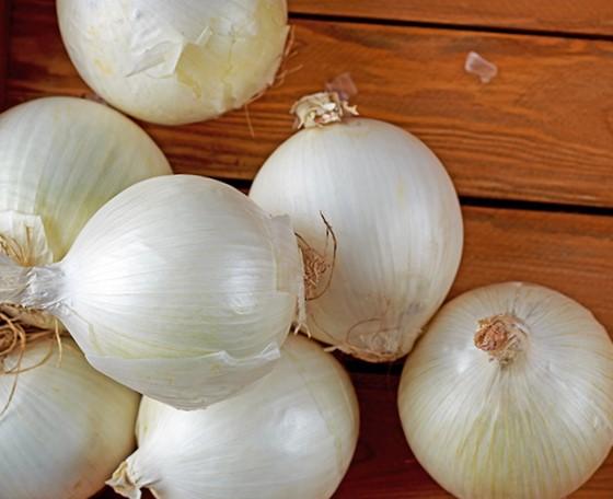 Onion (Allium cepa 'Ebenezer') in the Onions Database - Garden.org