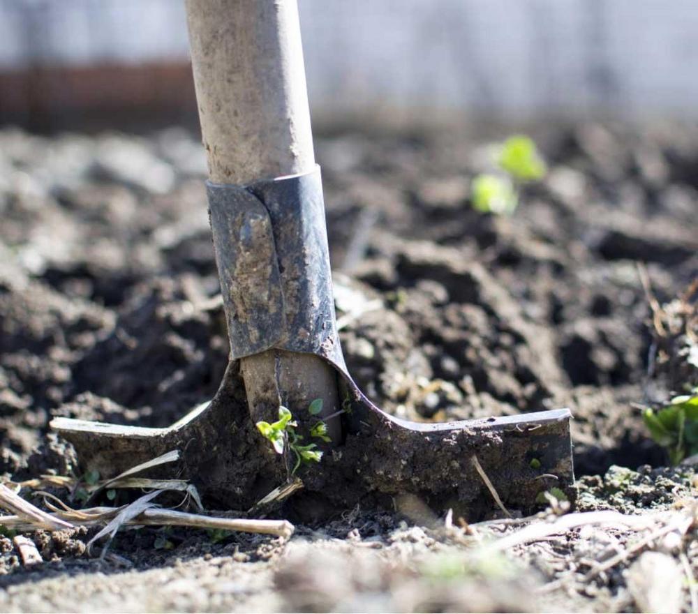Preparing a New Garden Plot - Garden.org