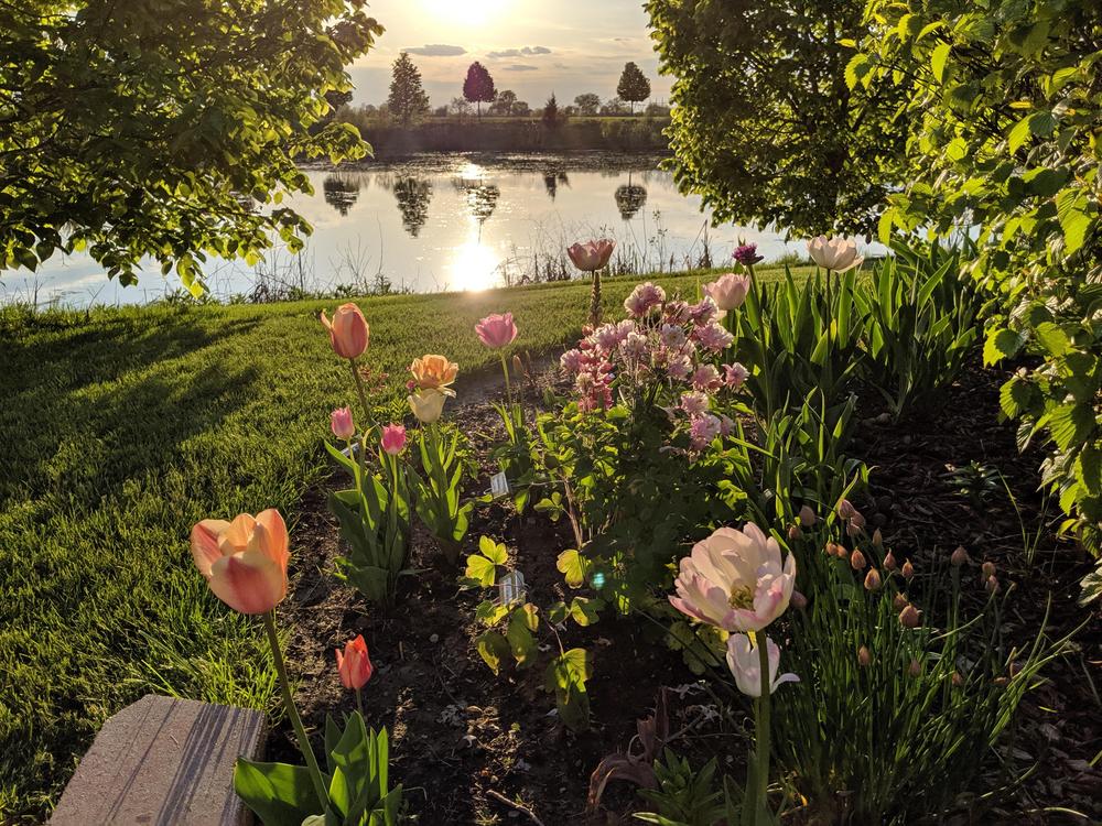 Beautiful View in The 2022 Garden.org Photo Contest : Personal ...
