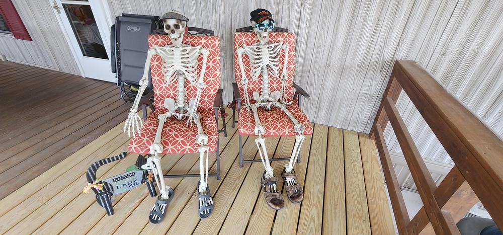 Viewing post #2843290 by AnnaZ - Garden.org