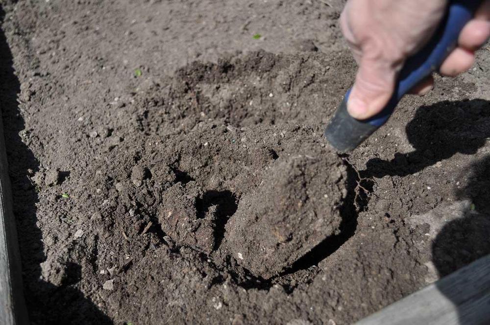 Testing Soil Drainage and Texture - Garden.org