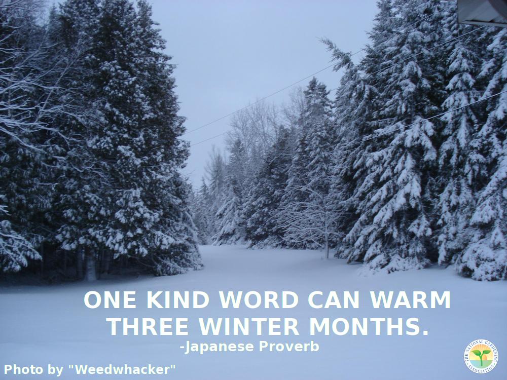 Newsletter for December 9th, 2023