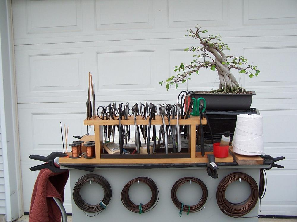 How to accomplish two trees into one? in the Trees and Shrubs forum ...