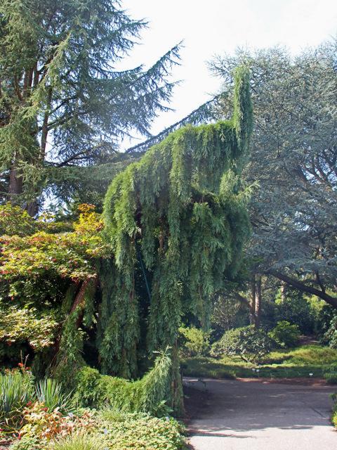 Newsletter for December 31st, 2022