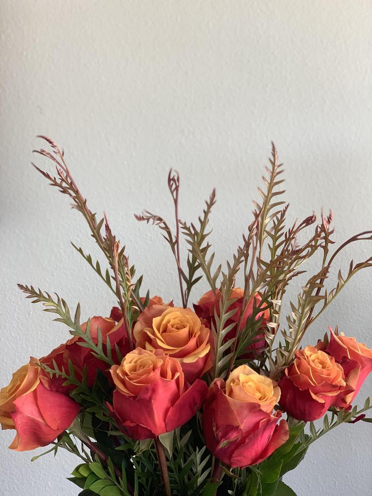 Photo of the bloom of Rose (Rosa 'Cherry Brandy') posted by ...