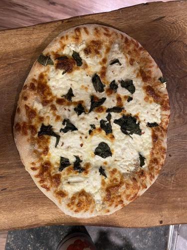 Succulent-adjacent photos and chat in the Cactus and Succulents forum ...