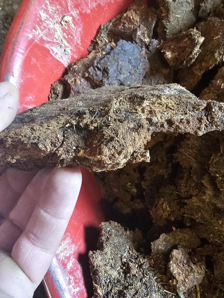 I have a question about house manure that's been in a barn for 20 ...