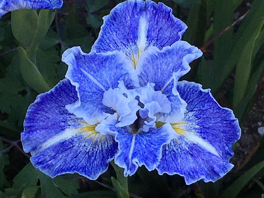 Newsletter for April 29th, 2023