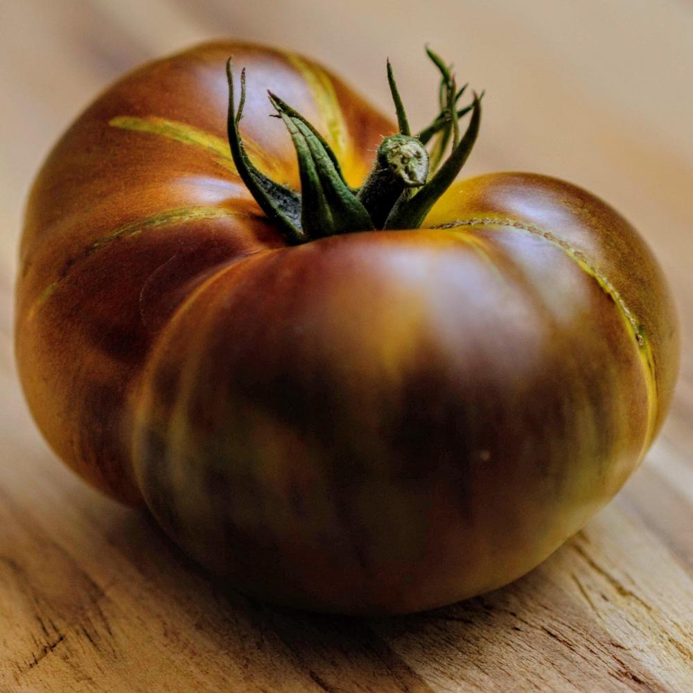 Tomato (Solanum lycopersicum 'Lucid Gem') in the Tomatoes Database ...