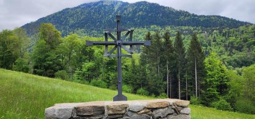 Chow Time 2023 in the Sandbox forum - Garden.org