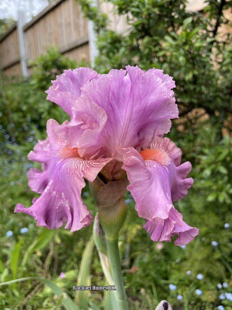 Newsletter for June 17th, 2023