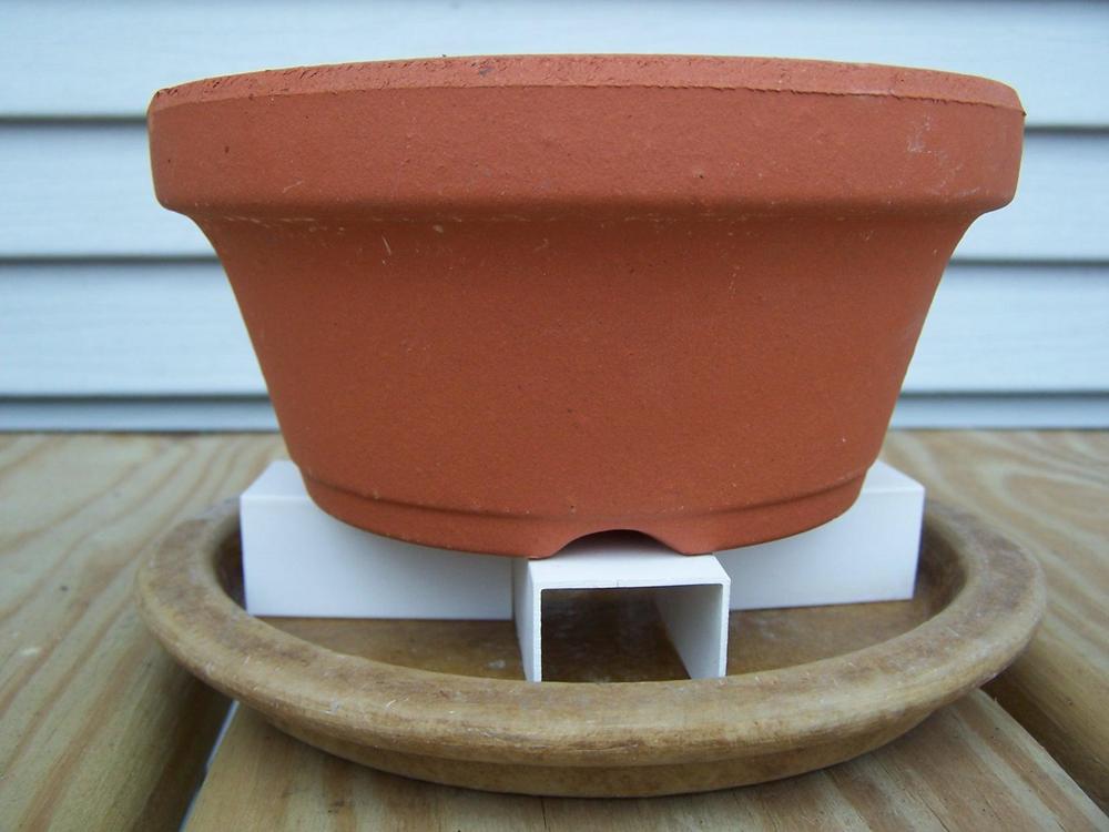 Put or not to put trays under pots in the Ask a Question forum - Garden.org