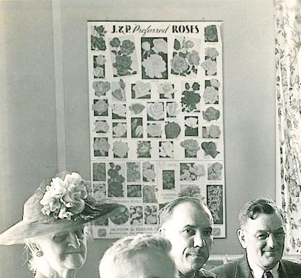 J & P Jackson and Perkins - Any Recent Feedback? in the Roses forum ...