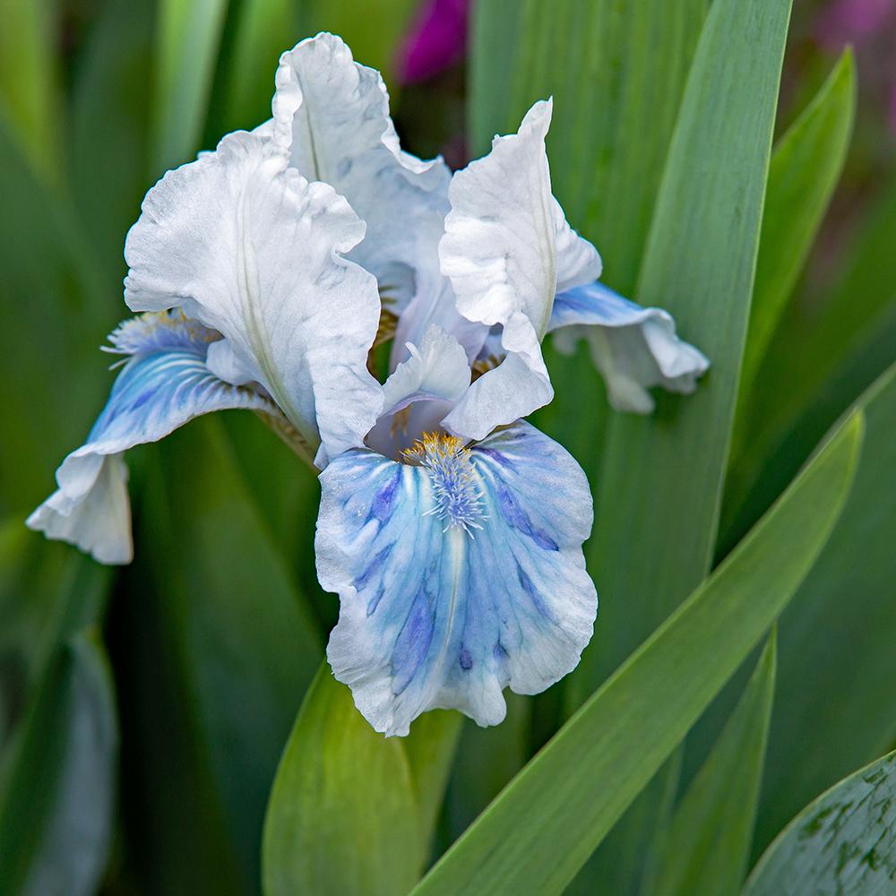 Newsletter for July 22nd, 2023