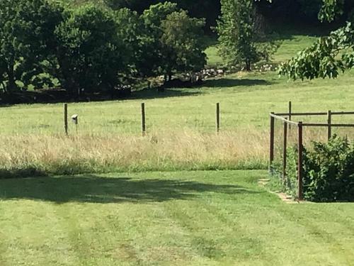 Advice for Planting a Native Grass and Wildflower Garden Zone 7B in the ...