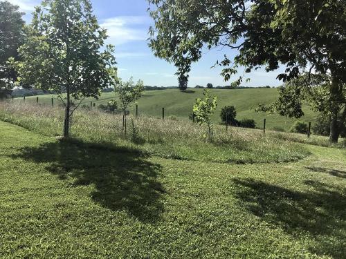 Advice for Planting a Native Grass and Wildflower Garden Zone 7B in the ...