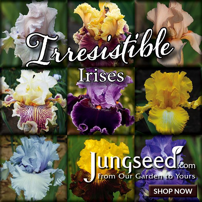 Newsletter for August 5th, 2023