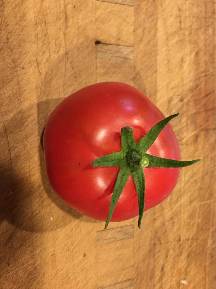 Photo of the fruit of Tomato (Solanum lycopersicum 'Pink Camel') posted ...