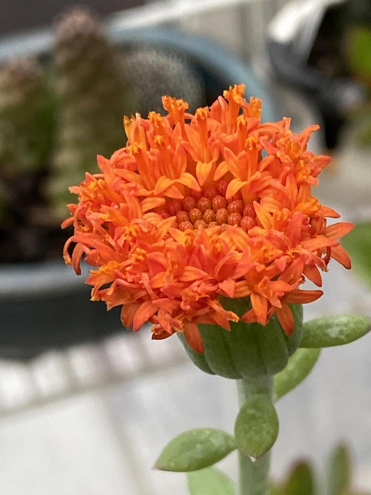 Newsletter for October 14th, 2023