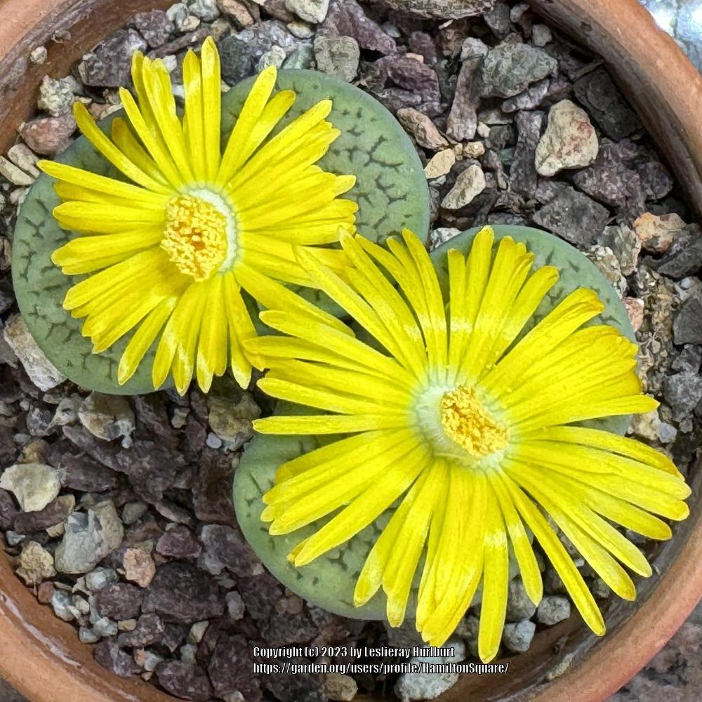 Newsletter for October 28th, 2023