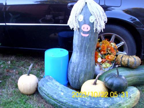 2023 Vegetable Gardening in the Vegetables and Fruit forum - Garden.org