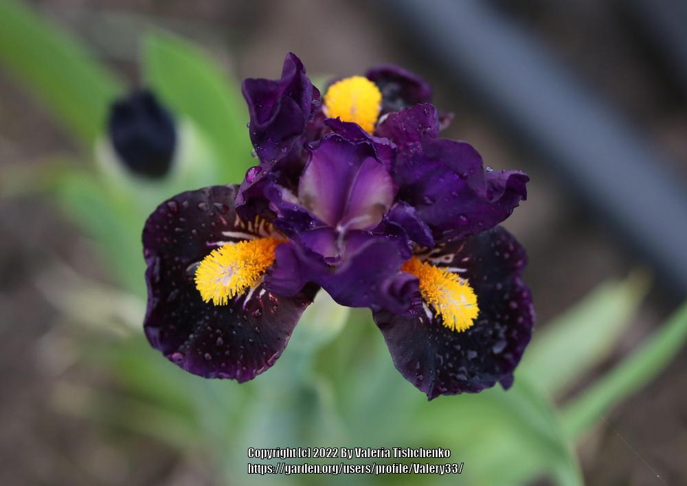 Newsletter for October 28th, 2023