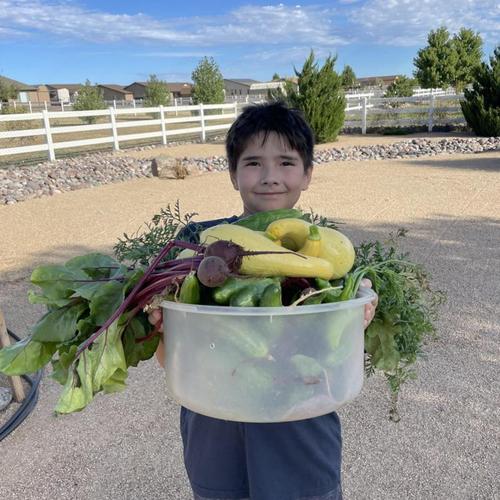 The winners of The 2023 Garden.org Photo Contest: Vegetables and Fruit ...