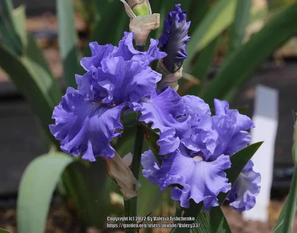 Newsletter for November 18th, 2023