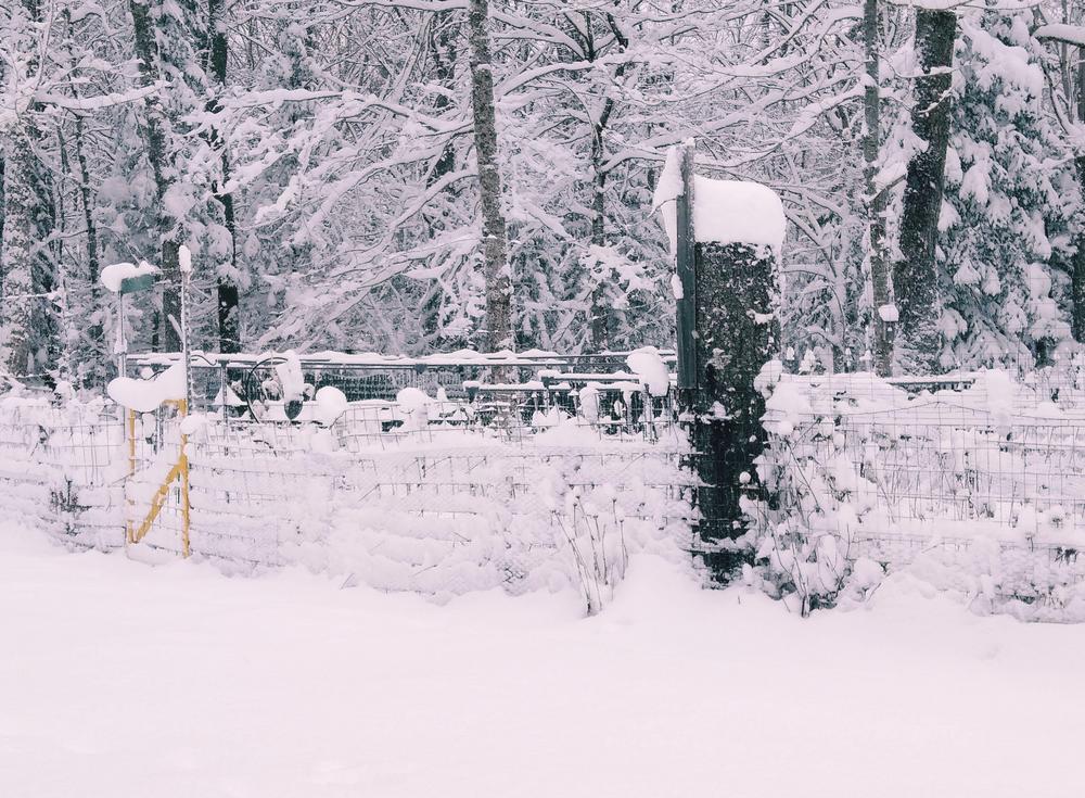 Viewing post #3032899 by adknative - Garden.org