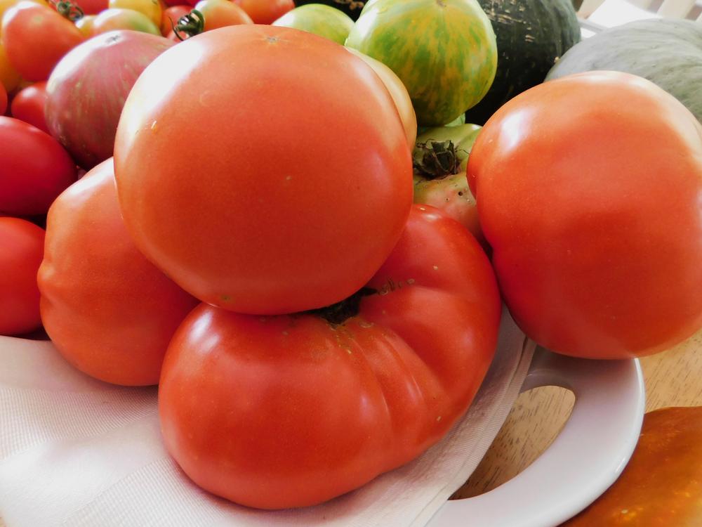 Seedvertisements in EARLY SPRING SEED EXTRAVAGANZA #1 - Garden.org