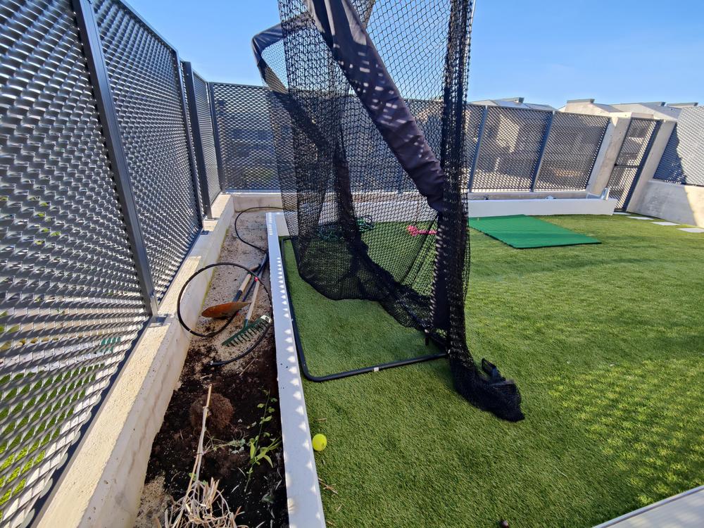 Crepe Myrtle (lagerstroemia indica) in raised beds in the Ask a ...