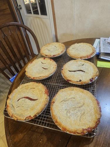 Chow Time 2024 in the Sandbox forum - Garden.org