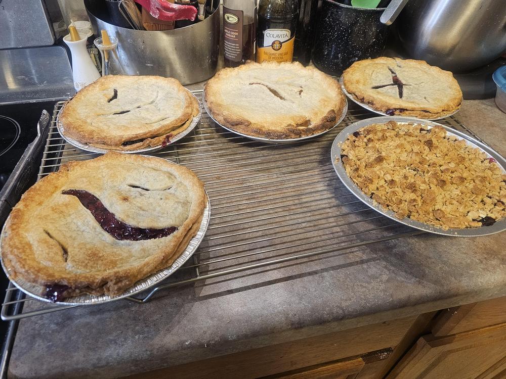 Chow Time 2024 in the Sandbox forum - Garden.org