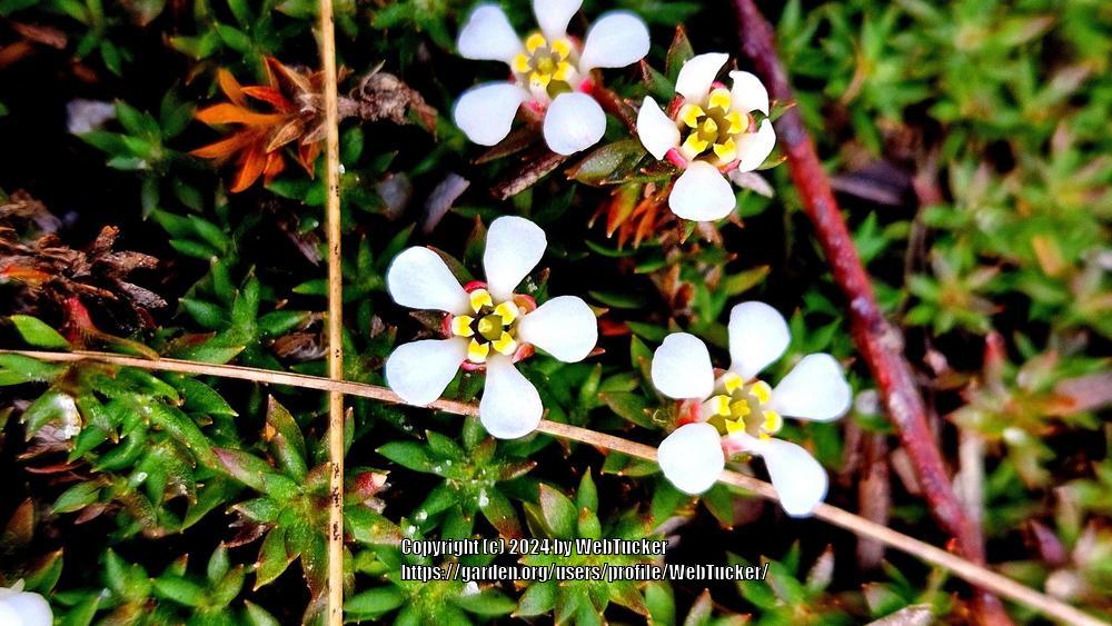 Newsletter for March 9th, 2024