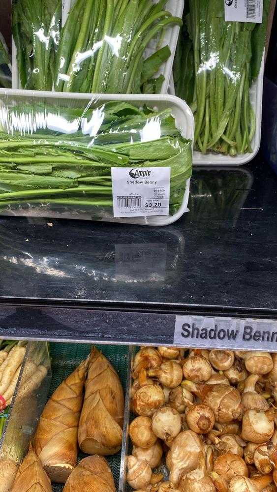 Shadow Benny in the Plant Database forum - Garden.org