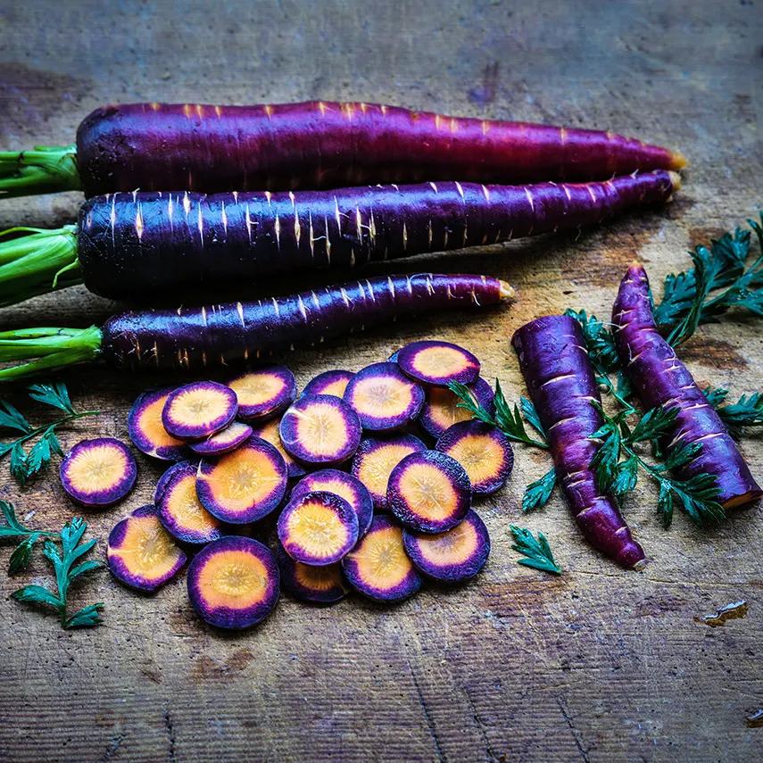 Photo of the fruit of Carrot (Daucus carota var. sativus 'Lila Lu Sang ...