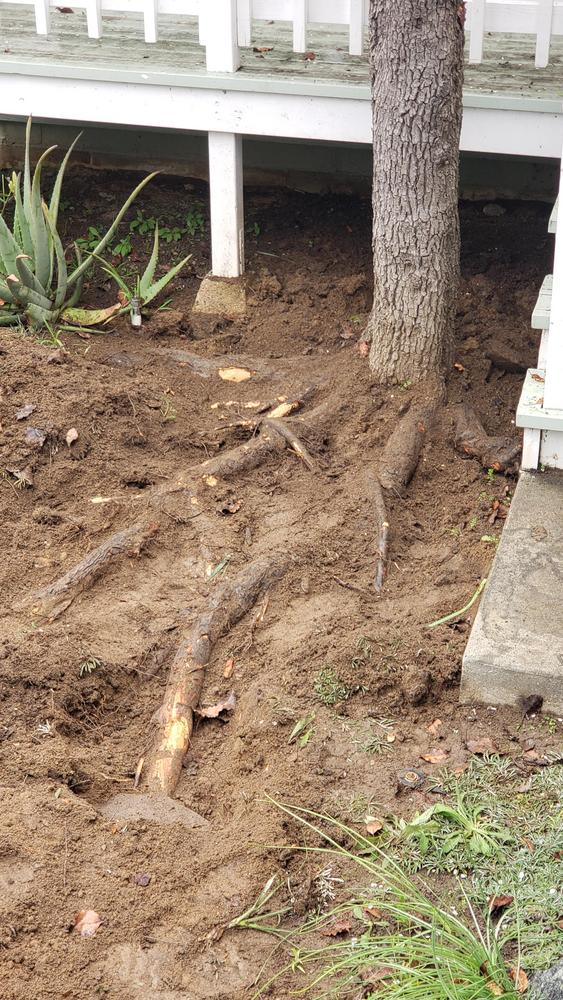 DIY empty garden space in the Ask a Question forum - Garden.org