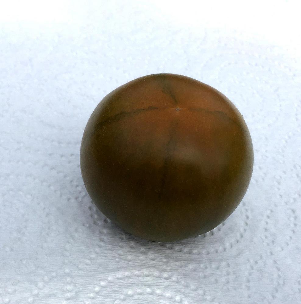 Photo of the fruit of Tomato (Solanum lycopersicum 'Evil Olive') posted ...