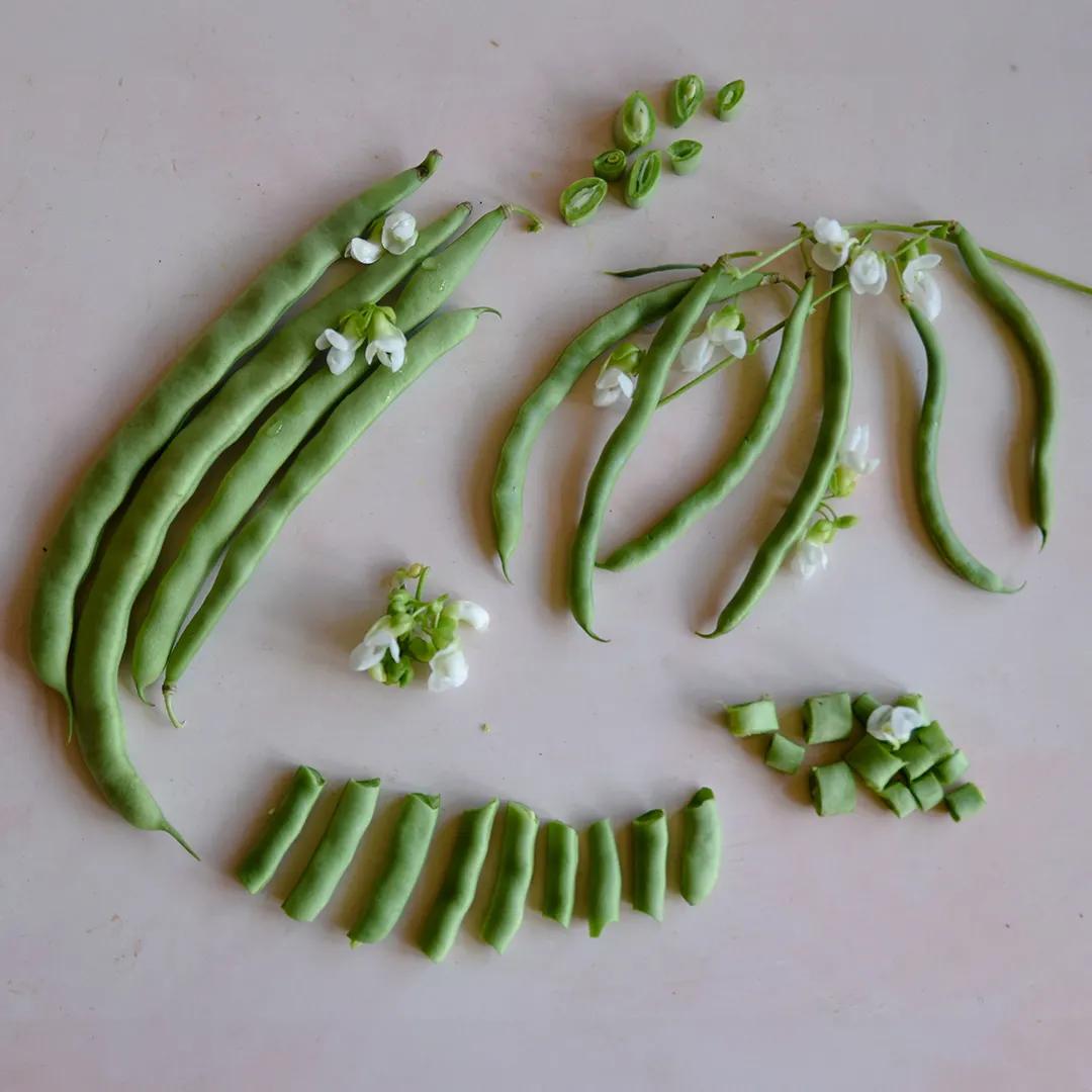 Photo of the seed pods or heads of Pole Green Bean (Phaseolus vulgaris ...