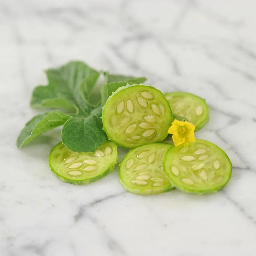 Photo of the seeds of Cucumber (Cucumis anguria 'West India Burr ...
