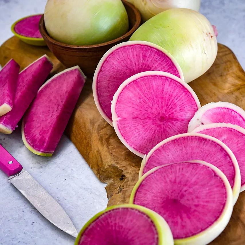 Photo of the fruit of Radish (Raphanus sativus 'Chinese Red Meat ...